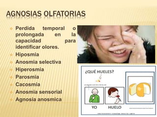 la agnosia | PPTX