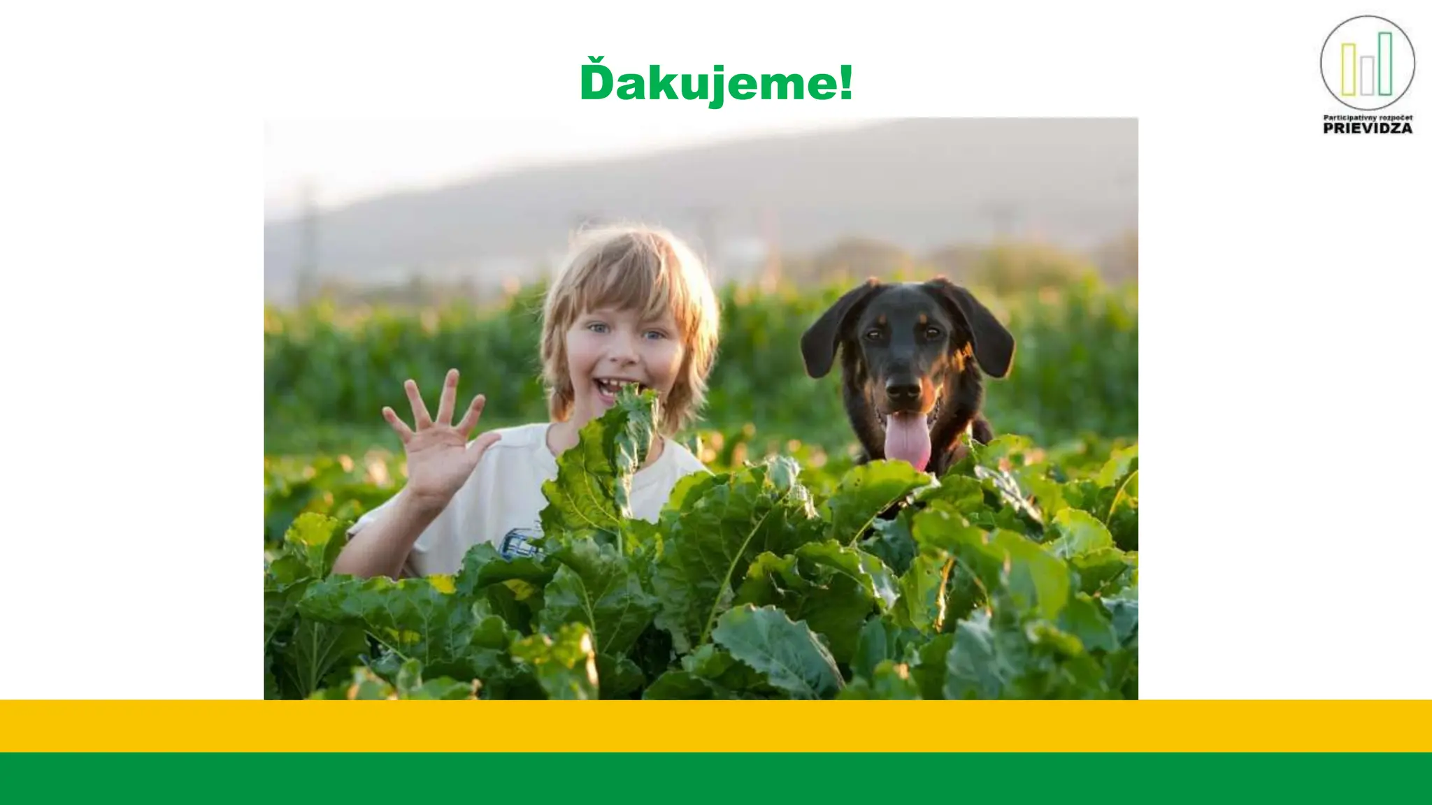 4 labky v meste.pptx