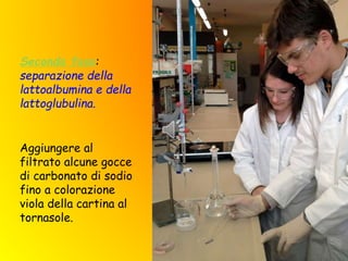 4 laboratorio analisi del latte | PPTX