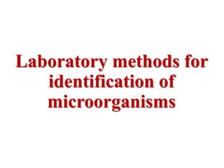 4. Laboratory methods for identification of microorganisms ...
