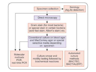 4. Laboratory methods for identification of microorganisms ...