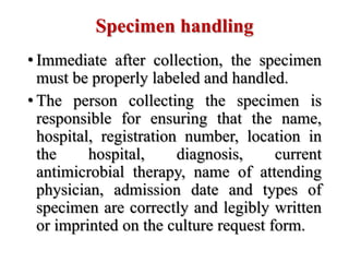 4. Laboratory methods for identification of microorganisms ...