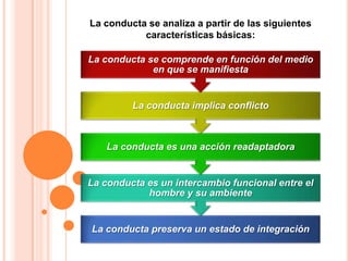 4 la conducta humana | PPTX