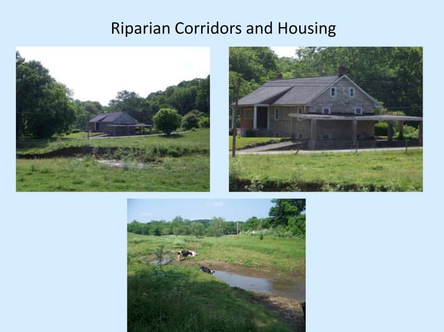 Land Conservation Strategies- Steve Sylvester | PPT