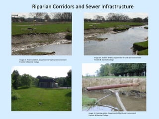 Land Conservation Strategies- Steve Sylvester | PPT