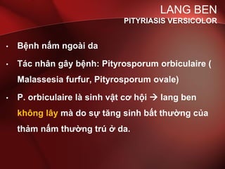 LANG BEN | PDF