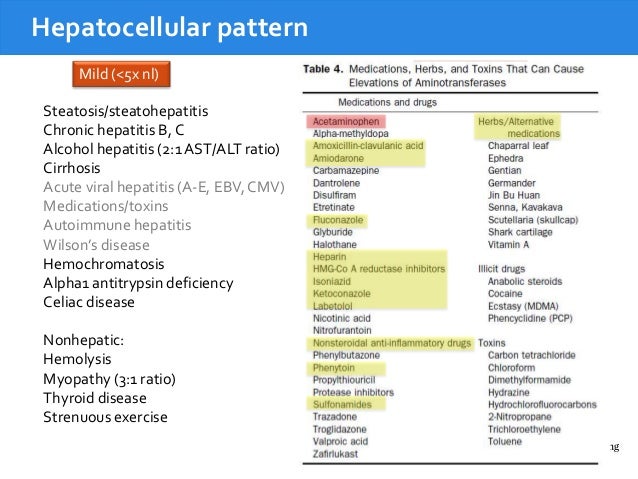 Hepatology 101