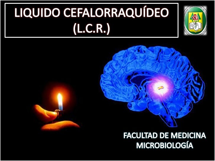 4 lcr diapositivas