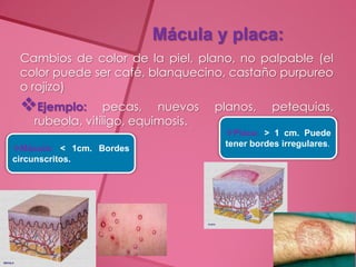4 lesiones cutáneas primarias y secundarias | PPTX