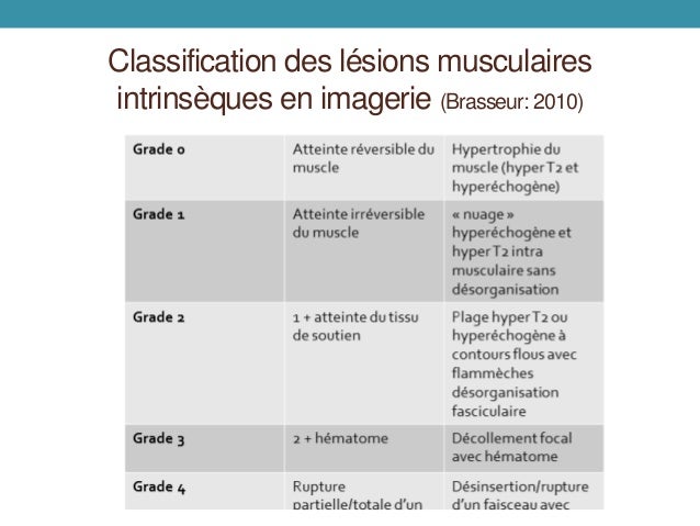 4_MUSCLE_Lésions musculaires du sportif, quelle rééducation - T. ALLA…