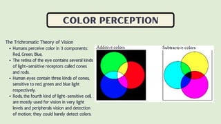 Lesson 4- Colors | PDF