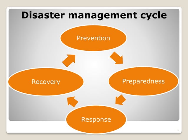 4 levels and phases of disasters.pdf | Infectious Diseases | Diseases ...