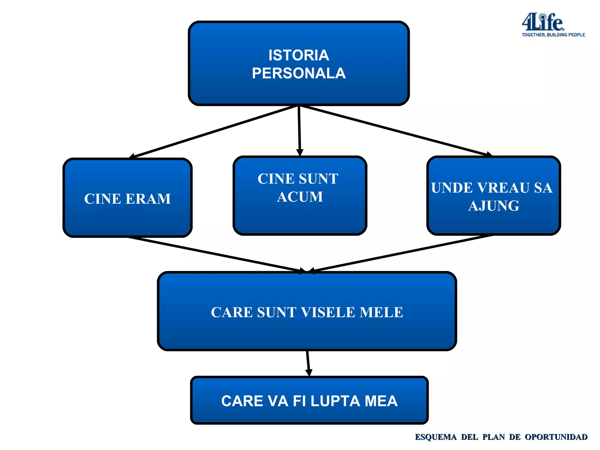 4life schema de oportunitati | PPT