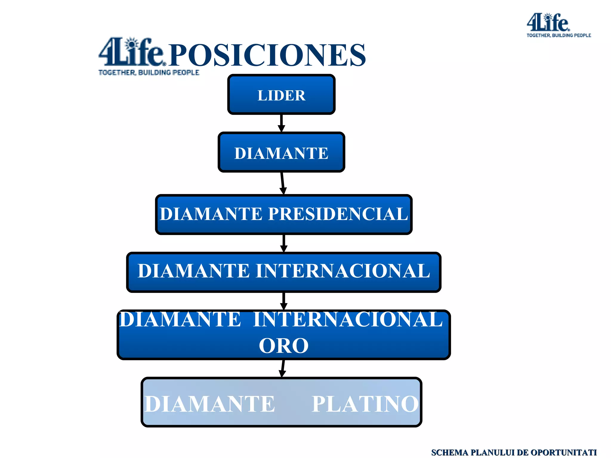 4life schema de oportunitati | PPT