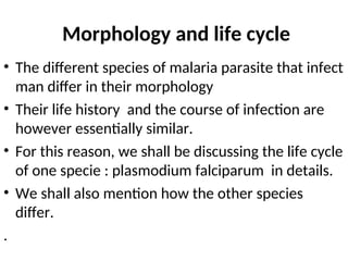 Malaria life cycle. DETAILED FOR AN UNDERGRADUATE STUDENTT | PPT