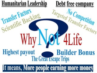 4LIFE MARKETING PLAN.pdf