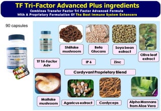 4life transfer factor product benefits | PPT