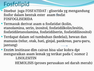 LIPID, ASAM LEMAK, JENIS, DAN FUNGSINYA. | PPT