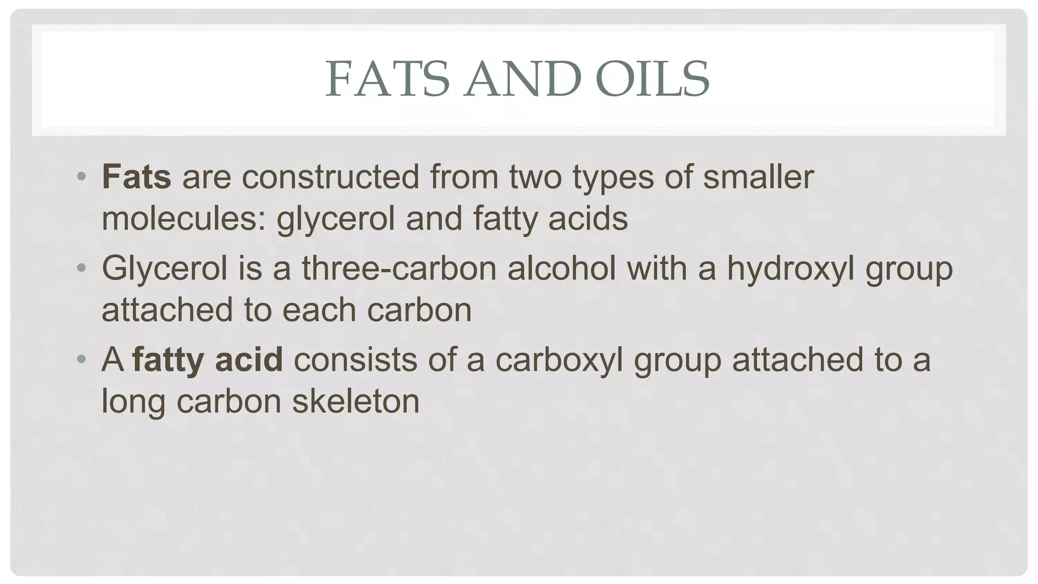 AS Biology- Lipids | PPTX