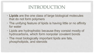 AS Biology- Lipids | PPT