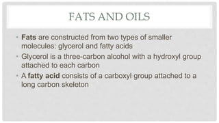 AS Biology- Lipids | PPTX