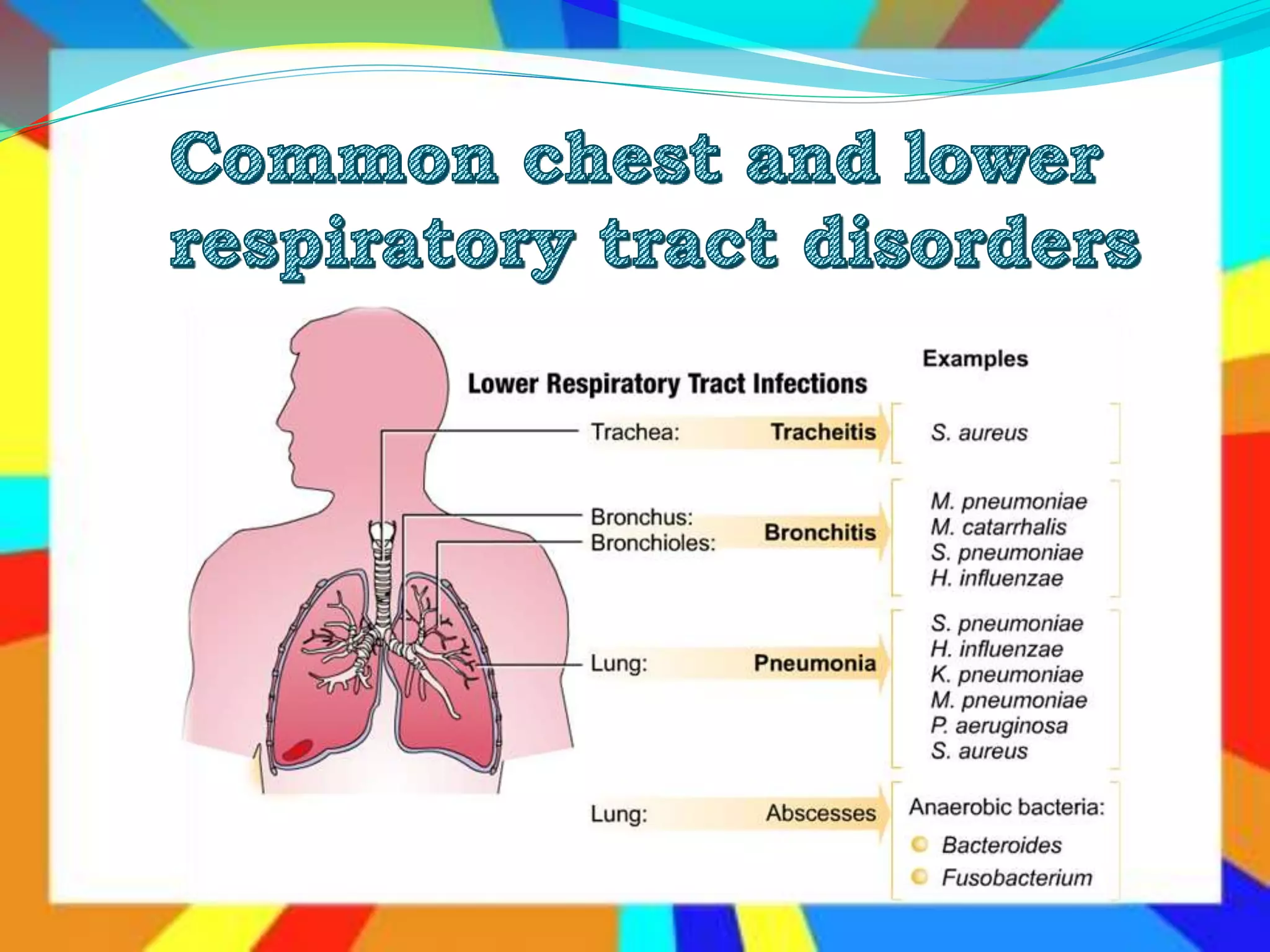 Lower respiratory tract disorders | PPTX