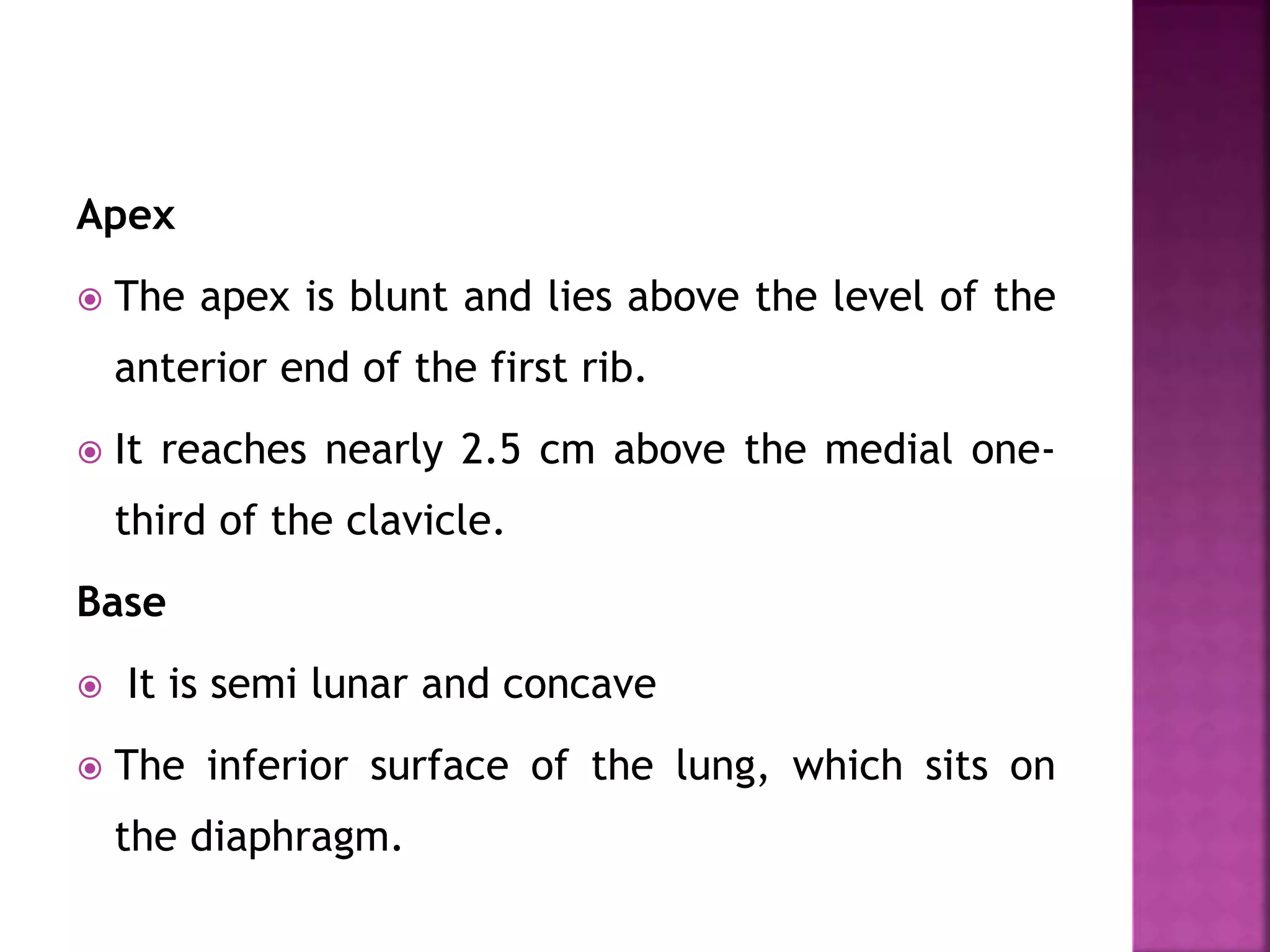 lungs anatomy | PPTX