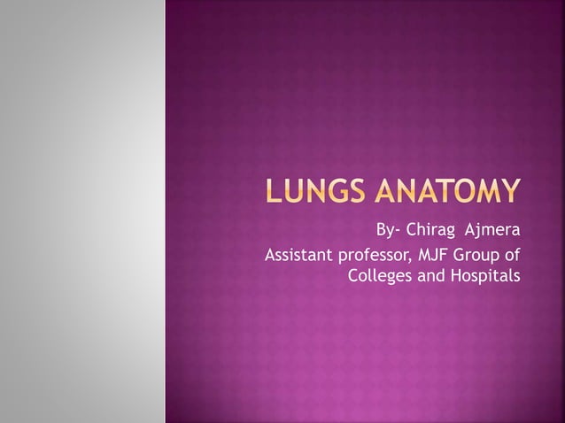Lungs Anatomy Ppt