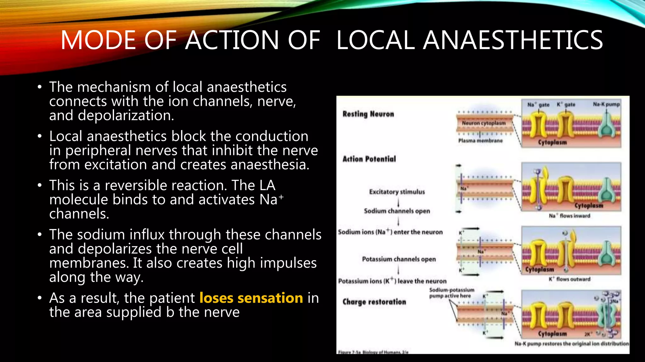 Local Anaesthesia in dentistry (Perio) | PPTX