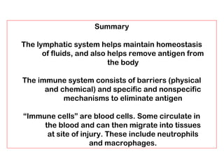 Lymphatic system | PPT