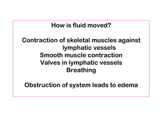 Lymphatic system | PPT