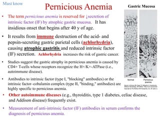 4 macrocytic anemia.ppt