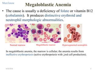 4 macrocytic anemia.ppt | Blood Disorders | Diseases and Conditions