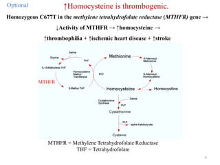 4 macrocytic anemia.ppt | Blood Disorders | Diseases and Conditions