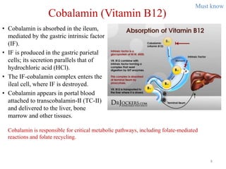 4 macrocytic anemia.ppt