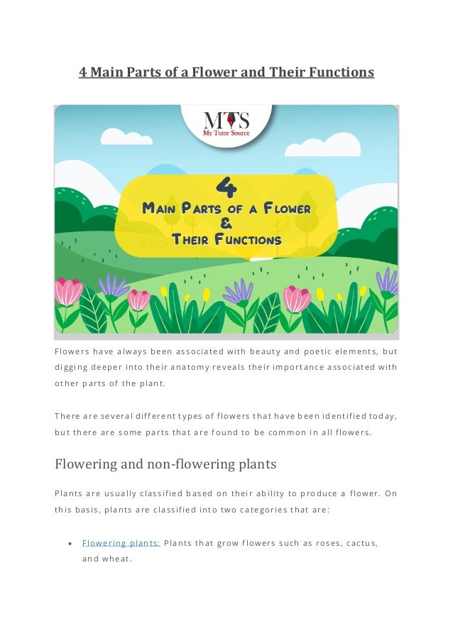 4 main parts of a flower and their functions | PDF