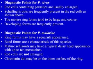 4 Malaria Diagnosis | PPT