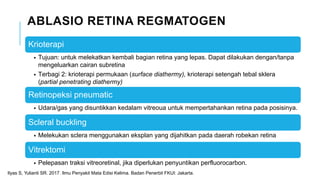 ilmu kesehatan mata, dokter mata, mata tenang | PDF