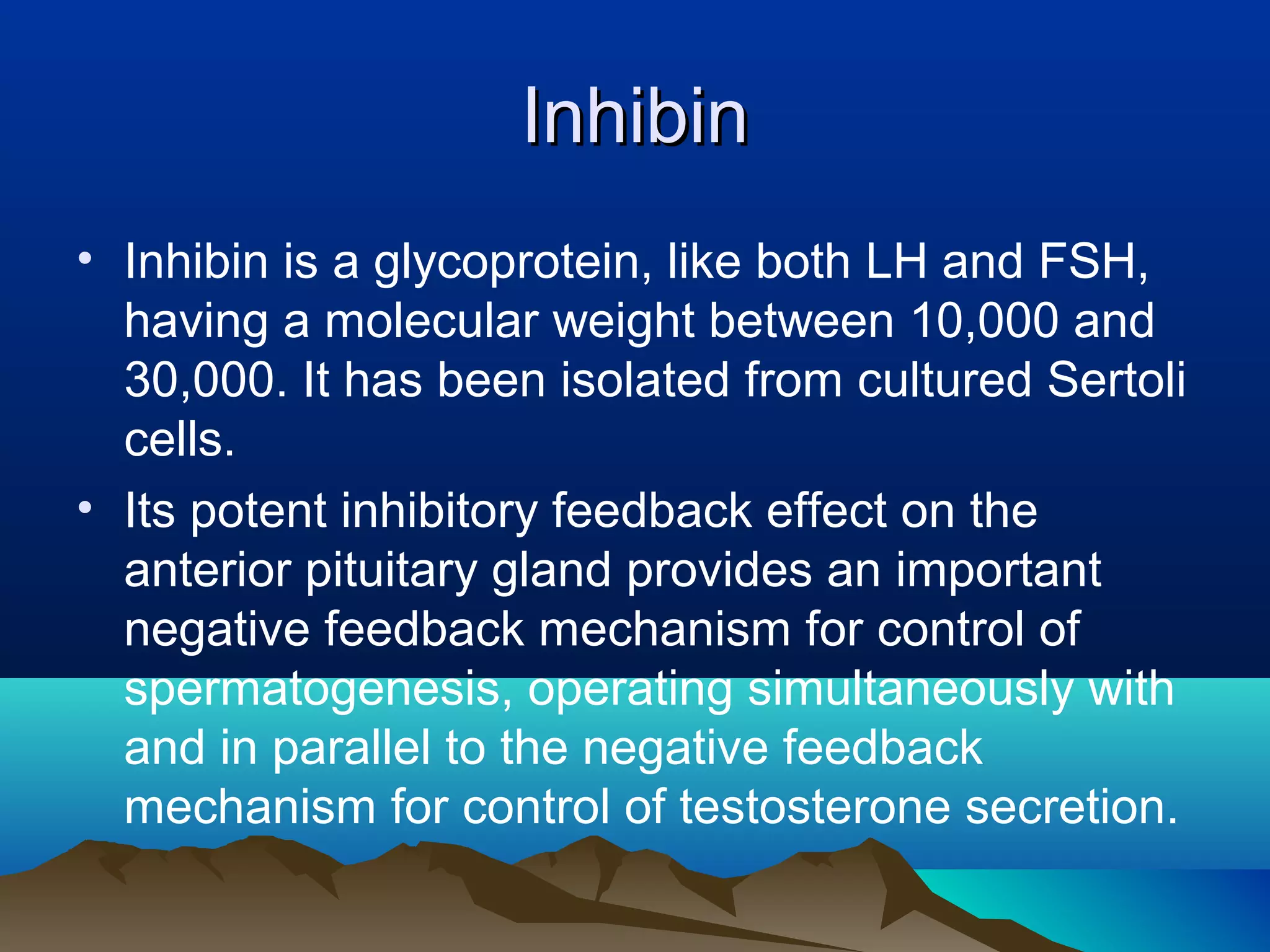 4 mechanism of action of testosteron | PPT