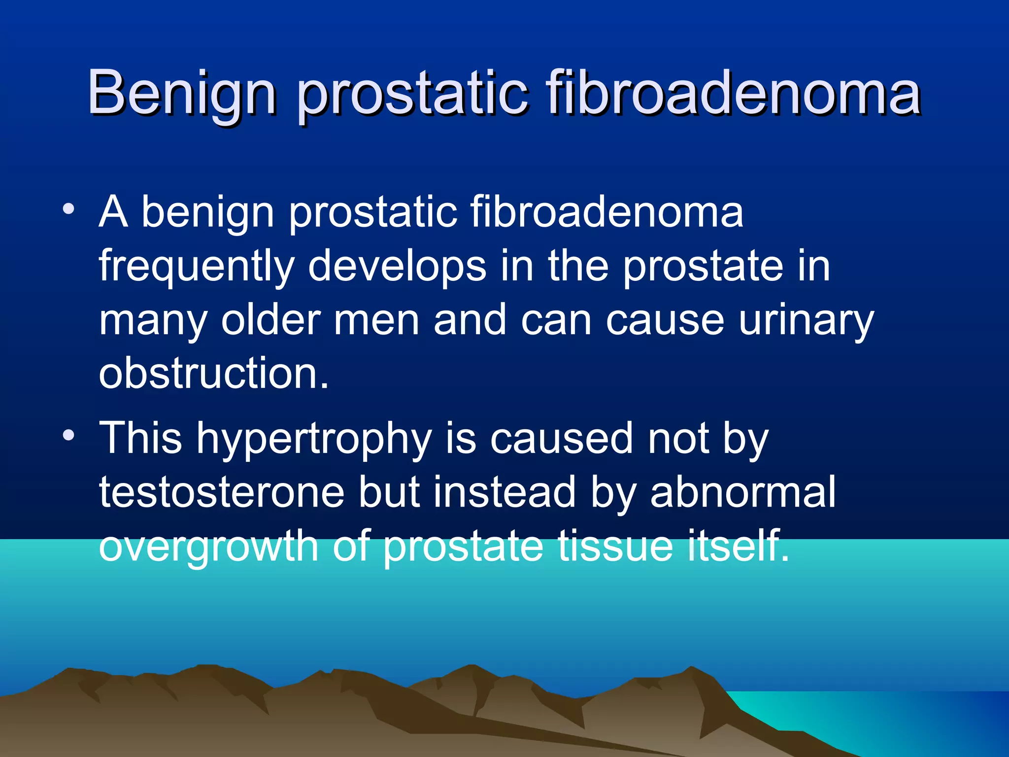 4 mechanism of action of testosteron | PPT