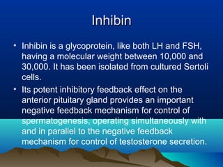4 mechanism of action of testosteron | PPT