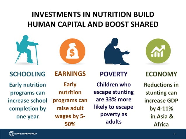An investment framework for nutrition | PDF | Pregnancy | Reproductive Health