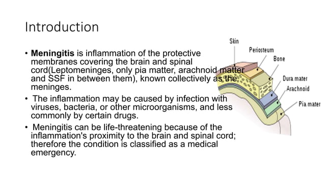 4 Meningitis 2012.pptx.ppt
