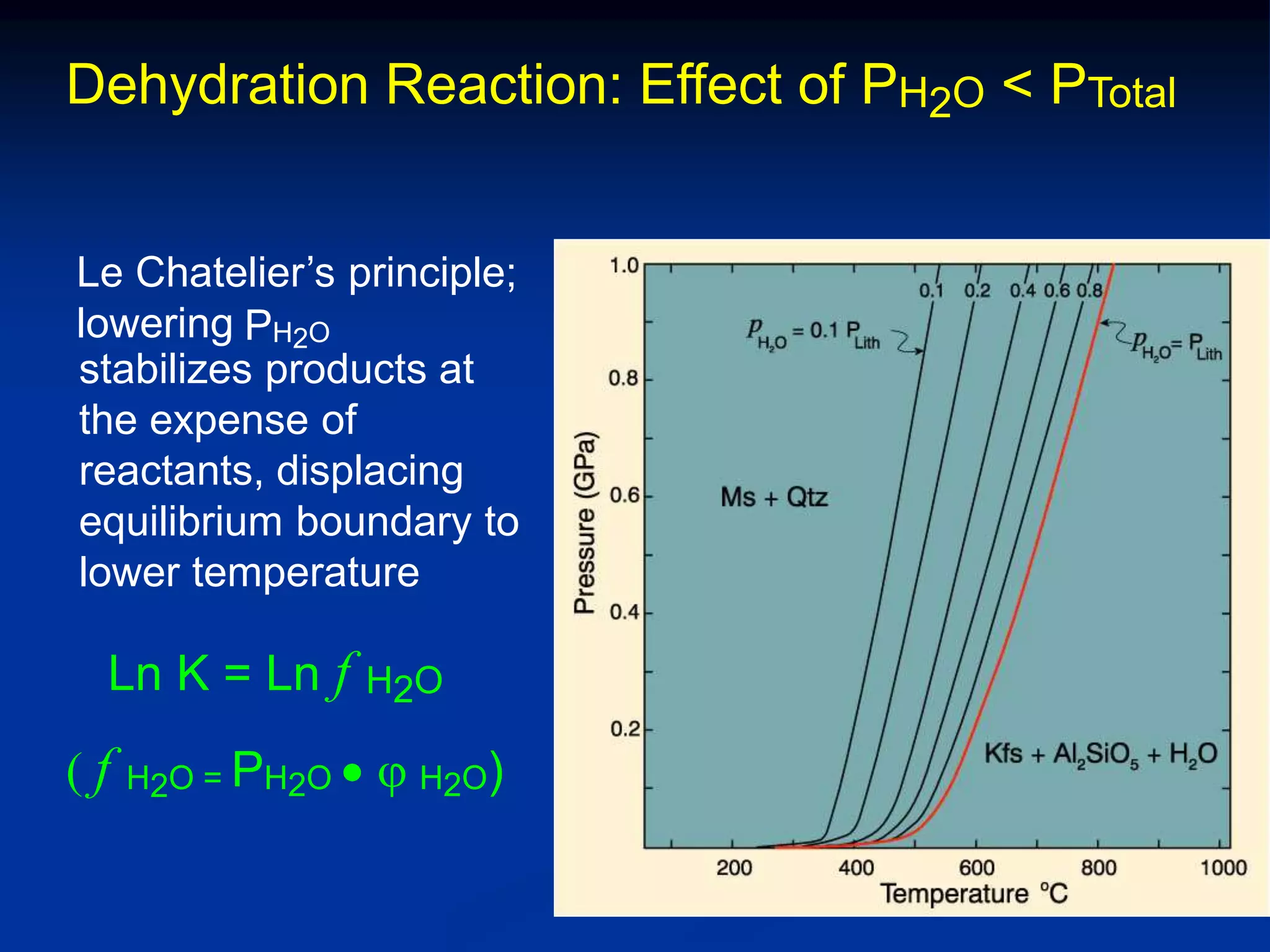 4 Metamorphic Reactions.ppt