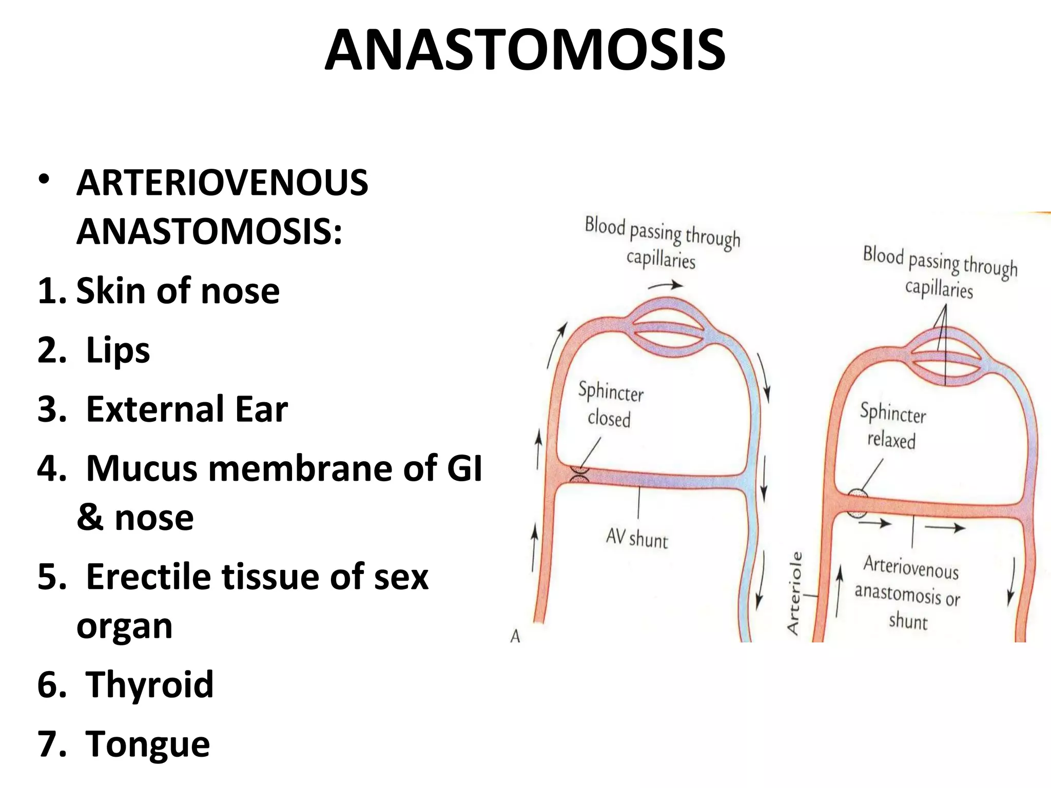 ppt on human circulatory system | PPT
