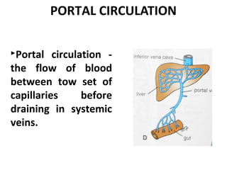 ppt on human circulatory system | PPT
