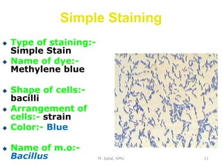 4)Microbial Control Methods Unit-II 2.pptx