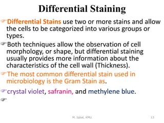 4)Microbial Control Methods Unit-II 2.pptx