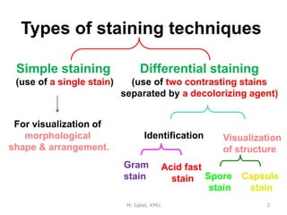 4)Microbial Control Methods Unit-II 2.pptx