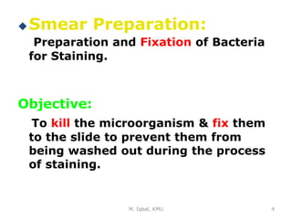 4)Microbial Control Methods Unit-II 2.pptx